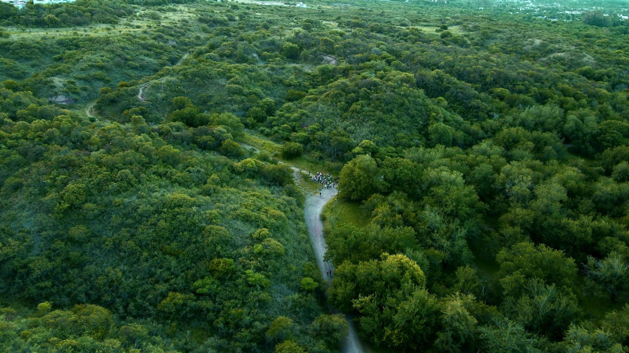 Reserva Urbana San Martín: un paseo por bosques nativos a minutos del ...