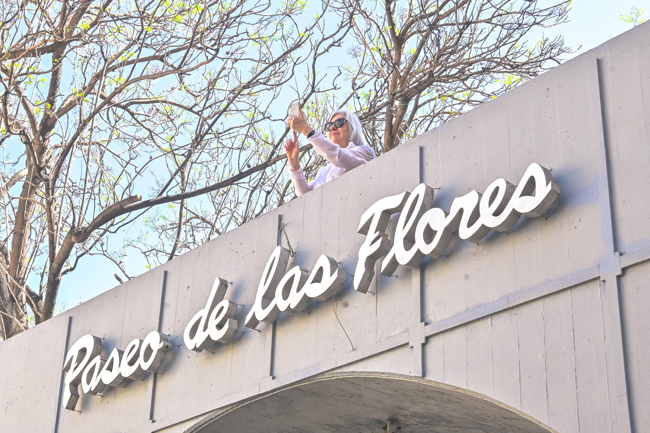 Subí y tomate una foto en el renovado Paseo de las Flores • Municipalidad de Córdoba.